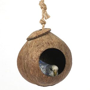 EastVita Coconut Bird Nest Hut with Ladder Hanging,Hanging Coconut Bird House Parrot Natural Coconut Shell Bird Nest Hideout House Playpen for Pet Parrot Budgies Parakeet Lovebird Finch Canary