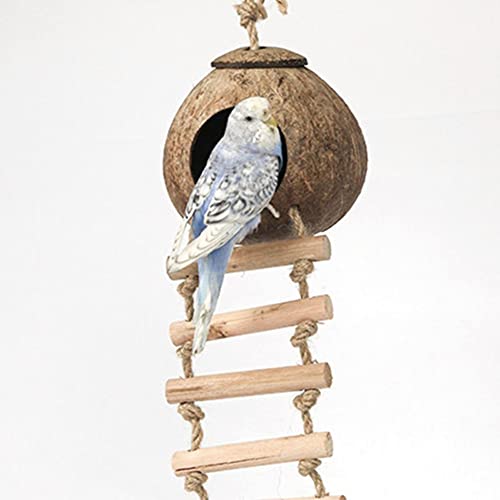 EastVita Coconut Bird Nest Hut with Ladder Hanging,Hanging Coconut Bird House Parrot Natural Coconut Shell Bird Nest Hideout House Playpen for Pet Parrot Budgies Parakeet Lovebird Finch Canary