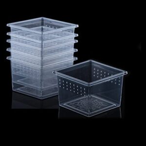 10 Pcs Insect Spider Terrariums Breeding Box Hatching Container Small Reptile Scorpion Centipede Acrylic Breeding Box (Small Size)