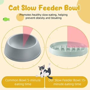 2 Pack Cat Slow Feeder Bowl Slow Feed Cat Dish Fishbone Cat Slow Feeder Small Interactive Puzzle Dog Feeder Dish Anti Gulping Pet Bowl for Cat and Dog Slow Eating to Against Bloat (White, Green)