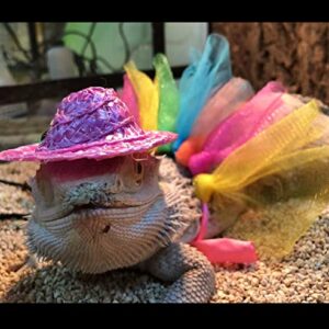 Lizard Clothes for Bearded Dragon - Adjustable Layered Rainbow Tutu Skirt and Hat Set Halloween Costume Photo Cosplay Party Dress Up Gift for Reptile Lizard Crested Gecko Chameleon (Rainbow)