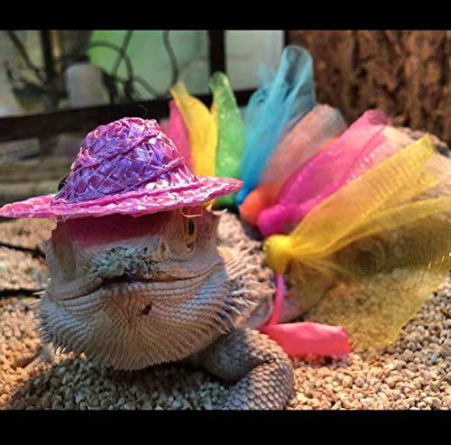 Lizard Clothes for Bearded Dragon - Adjustable Layered Rainbow Tutu Skirt and Hat Set Halloween Costume Photo Cosplay Party Dress Up Gift for Reptile Lizard Crested Gecko Chameleon (Rainbow)