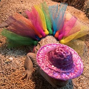 Lizard Clothes for Bearded Dragon - Adjustable Layered Rainbow Tutu Skirt and Hat Set Halloween Costume Photo Cosplay Party Dress Up Gift for Reptile Lizard Crested Gecko Chameleon (Rainbow)