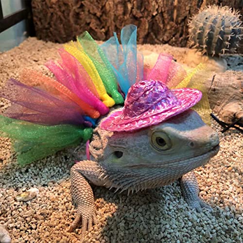 Lizard Clothes for Bearded Dragon - Adjustable Layered Rainbow Tutu Skirt and Hat Set Halloween Costume Photo Cosplay Party Dress Up Gift for Reptile Lizard Crested Gecko Chameleon (Rainbow)