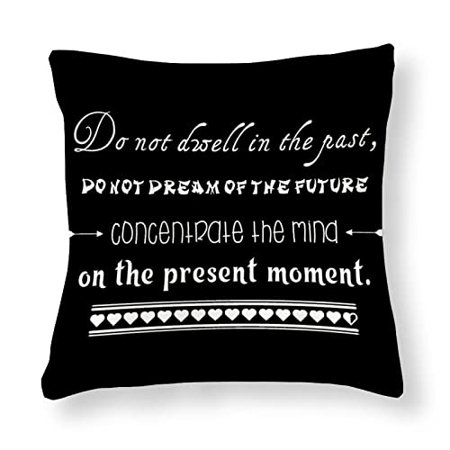 Inspirational Do Not Dwell in The Past Do Not Dream of The Future Concentrate The Mind On The Present Moment Throw Pillows for Couch Black Rustic Cozy Square Pillow for Couch Sofa Bedroom Car Living