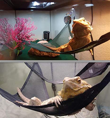 Lucky Interests 8 pcs Reptile Hammock Lounger, Lizard Hammock with Strong Suction Cup Triangle Bearded Dragon Lounger for Iguanas Geckos Lizards Anoles Snakes with 8 Reptile Food Bowl (Green, Black)