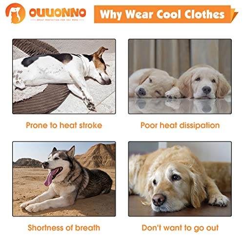 oUUoNNo Dog Cooling Vest,Cooling Vest for Dogs,Dog Cooling Jacket,Pet Cooling Vest,Breathable Mesh Ice Vest Adjustable Straps Cool Vest for Small Medium and Large Dogs (Medium, Grey)