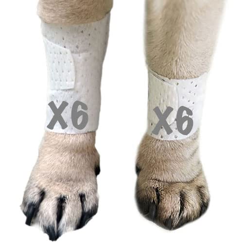 PawFlex Basic Leg Bandages for Dogs, Cats, Pets -First- aid Non Adhesive Fur Friendly, Soft Stretch Wound Care, hot Spots, Fungus, Adjustable Fastening Strap Value Pack (Medium 12-Pack)