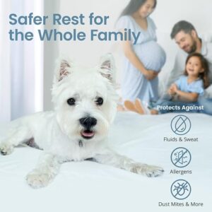 SafeRest Mattress Protector - Twin Size Cotton Terry Waterproof Mattress Protector, Breathable Fitted Mattress Cover with Stretchable Pockets