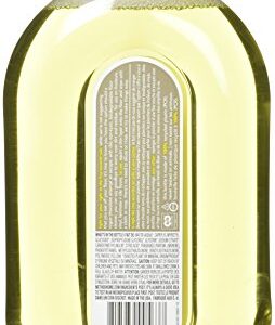 Method 25OZ Lemon Ginger Floor Cleaner, 25 Fl Oz (Pack of 1)