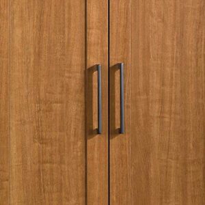 Sauder 411802 HomePlus Wardrobe/Storage Cabinet, L: 28.98" x W: 20.95" x H: 71.18", Sienna Oak finish