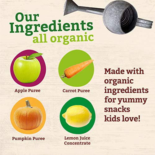 Peter Rabbit Organics Apple, Carrot and Pumpkin Puree, 4.4 Ounce (Pack of 10)