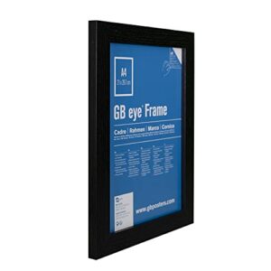 GB Eye FMA4A1BK 29.7 x 21 cm A4 Black Frame