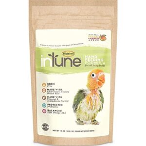 higgins intune natural hand feeding formula for all baby birds 10 oz