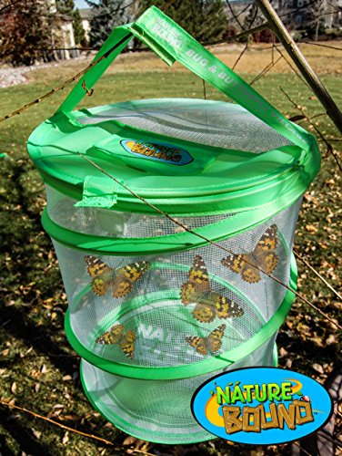 Nature Bound Butterfly Growing Habitat Kit - With Discount Voucher to Redeem Live Caterpillars for Home or School Use - Green Pop-Up Cage 12-Inches Tall - for Boys and Girls Ages 5+