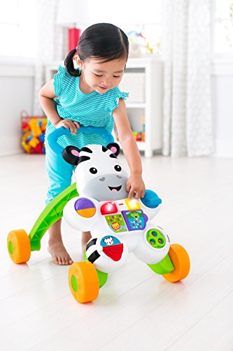 Fisher-Price Baby to Toddler Learning Toy, Learn with Me Zebra Walker with Music Lights and Activities for Ages 6+ Months