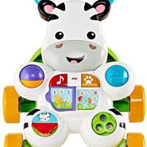 Fisher-Price Baby to Toddler Learning Toy, Learn with Me Zebra Walker with Music Lights and Activities for Ages 6+ Months