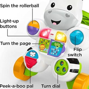 Fisher-Price Baby to Toddler Learning Toy, Learn with Me Zebra Walker with Music Lights and Activities for Ages 6+ Months