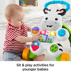 Fisher-Price Baby to Toddler Learning Toy, Learn with Me Zebra Walker with Music Lights and Activities for Ages 6+ Months