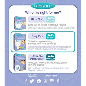 Lansinoh Stay Dry Disposable Nursing Pads, 100 Count