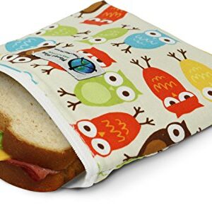 Planet Wise Jewel Woods Reusable Zipper Sandwich Bag | Reusable Food Storage Bags For Anything You Need | Environmentally Friendly And Budget Friendly Reusable Plastic Bags | Zipper Bags