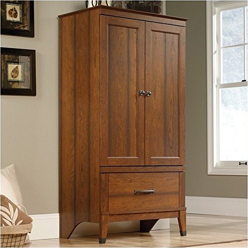 Pemberly Row 2 Doors Wood Armoire with Drawer in Washington Cherry