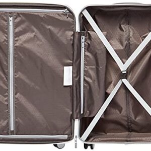 Samsonite Freeform Hardside Expandable with Double Spinner Wheels, Checked-Large 28-Inch, White