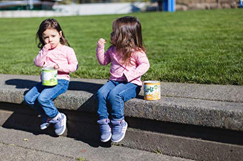 Sprout Organic Baby Food, Stage 4 Toddler Snacks, Broccoli Plant Power Curlz, 1.48 Ounce (Pack of 6)