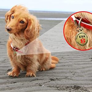 Double Sided Small Breed Emotional Support Animal ESA Tag Red Medical Alert Symbol and Protected by Federal Law .999 inch ID Tag. Easily Switch Between Collars Harness and Vest.