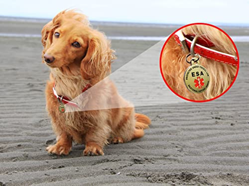 Double Sided Small Breed Emotional Support Animal ESA Tag Red Medical Alert Symbol and Protected by Federal Law .999 inch ID Tag. Easily Switch Between Collars Harness and Vest.