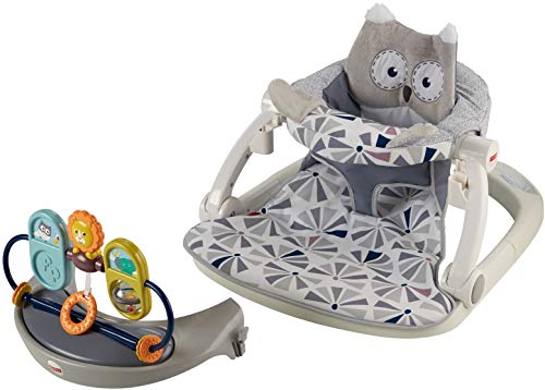 Fisher-Price Premium Sit Me Up Floor Seat with Toy Tray Owl