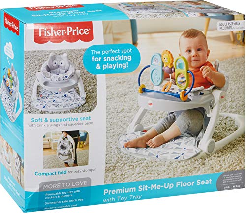 Fisher-Price Premium Sit Me Up Floor Seat with Toy Tray Owl