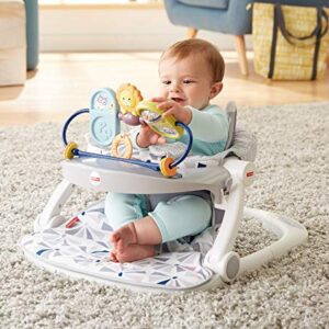 Fisher-Price Premium Sit Me Up Floor Seat with Toy Tray Owl