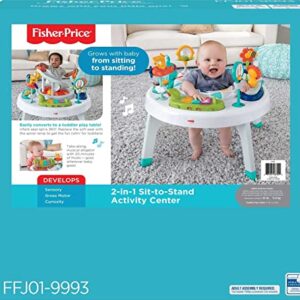 Fisher-Price Baby to Toddler Toy 2-In-1 Sit-To-Stand Activity Center with Music Lights and Spiral Ramp, Spin ‘N Play Safari