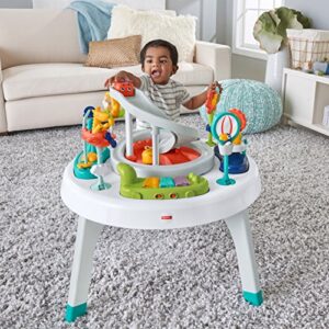 Fisher-Price Baby to Toddler Toy 2-In-1 Sit-To-Stand Activity Center with Music Lights and Spiral Ramp, Spin ‘N Play Safari