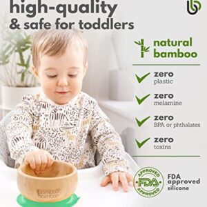 bamboo bamboo ® Suction Bowl for Baby – Bamboo Baby Bowl and Spoon Set with Removable Silicone Suction Cup for Kids | 11.8oz | Non-Toxic | Cool to The Touch | Ideal for Baby-Led Weaning (Green)