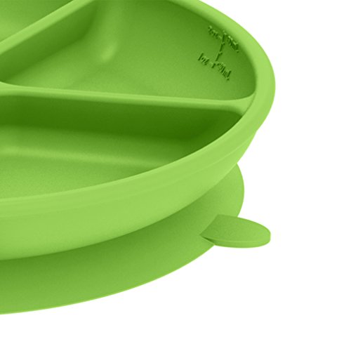 green sprouts Learning Plate