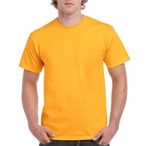 Gildan Adult Ultra Cotton T-Shirt, Style G2000, Multipack, Gold (2-Pack), Small