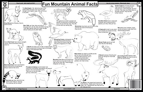 Tot Talk Educational Kids Placemats - Animals Nature of 4 Table Mats: Ocean, Jungle, Savanna, Mountain Animals - Reversible Activities - Waterproof, Washable, Wipeable, Durable, Double-Sided