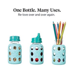 Lifefactory 6 Bottle Starter Set (4) 4-Ounce Baby Bottle in Mint/Blanket (2) 9-Ounce Baby Bottle in Kale/Blueberry (2) Flat Caps (2) Sippy Caps (2) Stage 2 Nipples, Mint/Blanket/Kale/Blueberry/White