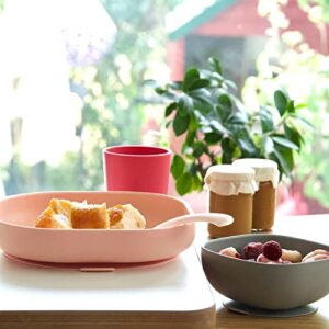 BEABA Silicone 4-Piece Dishware - 100% Silicone Baby Plate Set, Baby Bowls - Includes Baby Plate, Baby Bowl, Baby Cup, 2nd Stage Silicone Spoon, (Rose)