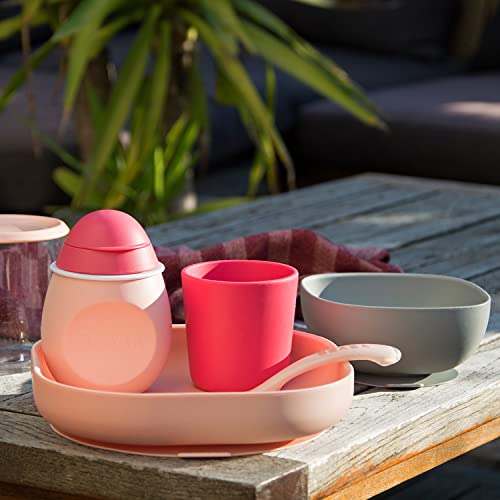 BEABA Silicone 4-Piece Dishware - 100% Silicone Baby Plate Set, Baby Bowls - Includes Baby Plate, Baby Bowl, Baby Cup, 2nd Stage Silicone Spoon, (Rose)