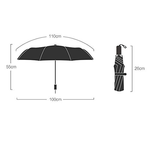 Rosavida Rainbow Folding Umbrella- 10 Ribs- Travel Umbrella Compact Windproof for Women Girls