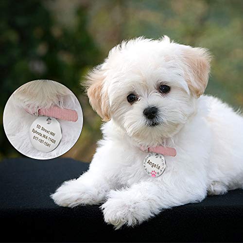 Didog Stainless Steel Custom Engraved Pet ID Tags,Round Crystal Rhinestones Tags with Pretty Paw Print,Double-Side Laser Engraving Tags Fit Small Medium Large Dogs and Kittens,Pink