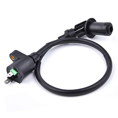 Ignition Coil Replacement for 150cc 250cc Go Kart Dune Buggy 6.000.257