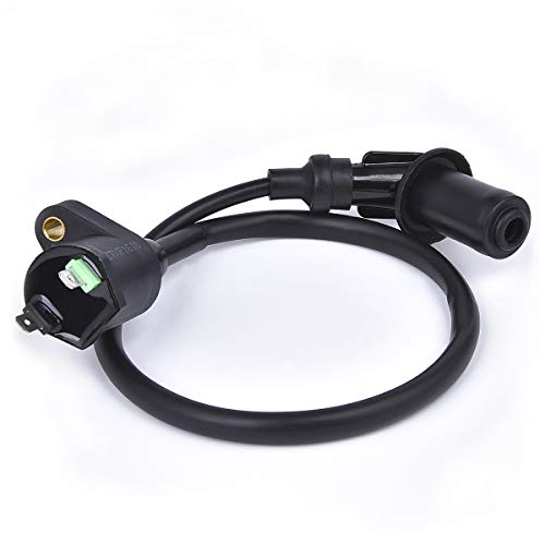 Ignition Coil Replacement for 150cc 250cc Go Kart Dune Buggy 6.000.257