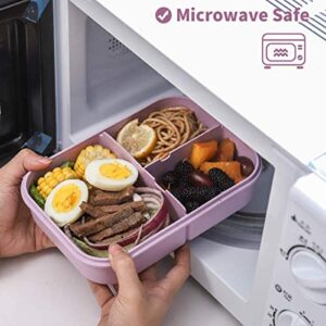 MISS BIG Lunch Box Kids,Ideal Leak Proof Lunch Containers, Mom’s Choice No BPAs and No Chemical Dyes Bento Box for Kids,Microwave and Dishwasher Safe Lunch Box (Purple M)