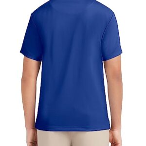 Nautica mens Uniform Short Sleeve Performance Polo Shirt, Royal Blue, 36-37 US