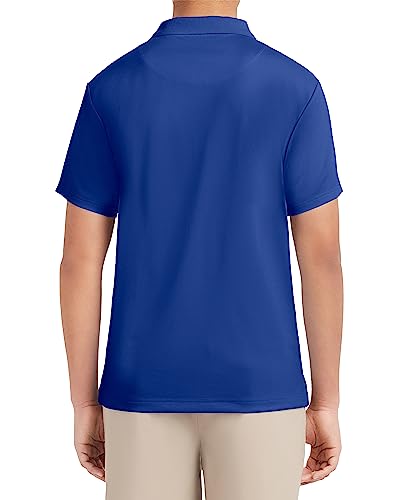 Nautica mens Uniform Short Sleeve Performance Polo Shirt, Royal Blue, 36-37 US