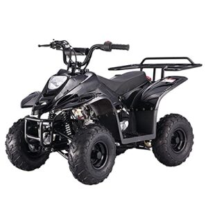 x-pro 110cc atv quads atv quad atvs 4 wheeler (black)